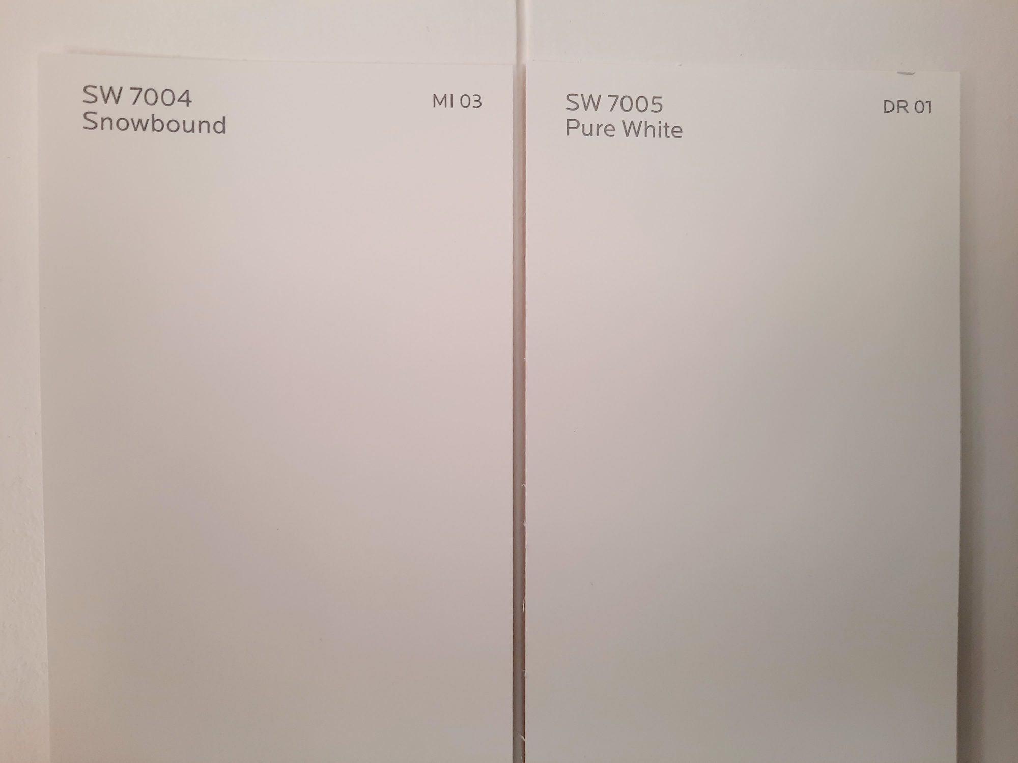 Snowbound Versus Pure White