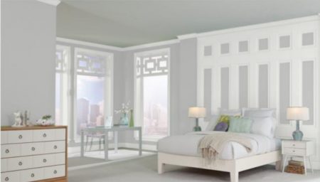 Sherwin Williams Passive Paint Color Review