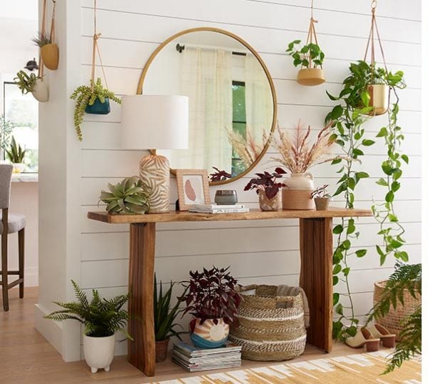 20 Indoor Entryway Plant Ideas for Your Home