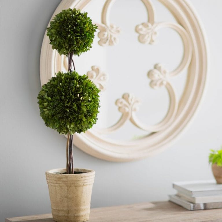20 Indoor Entryway Plant Ideas for Your Home