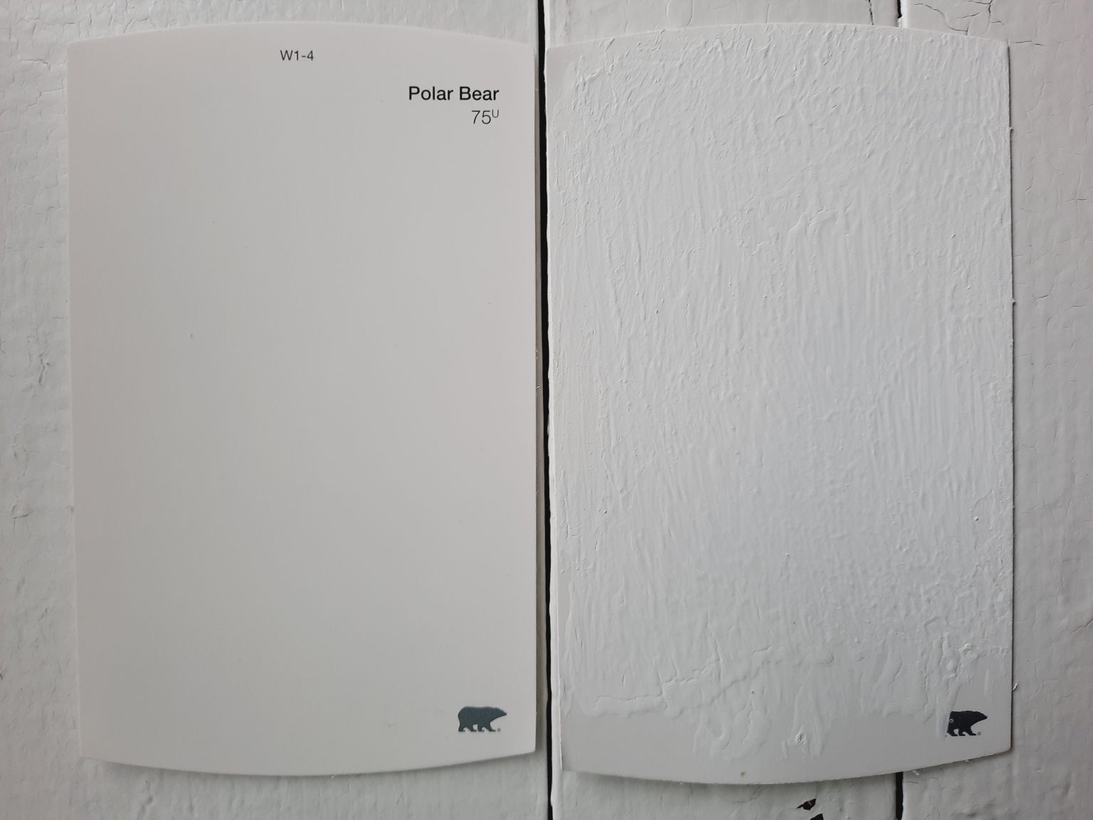 Behr Polar Bear Paint Color Review