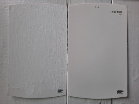Behr Ultra Pure White Paint Color Review