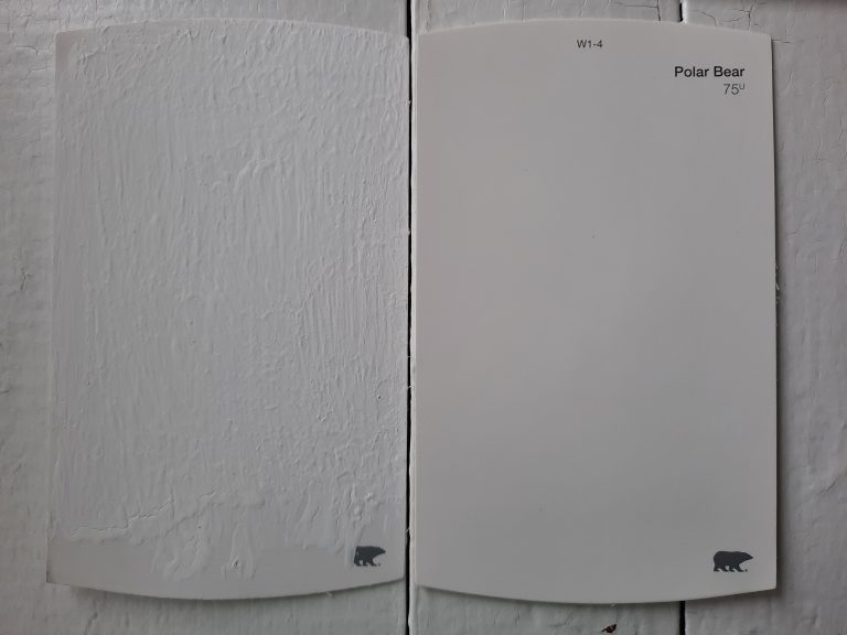 Behr Ultra Pure White Paint Color Review