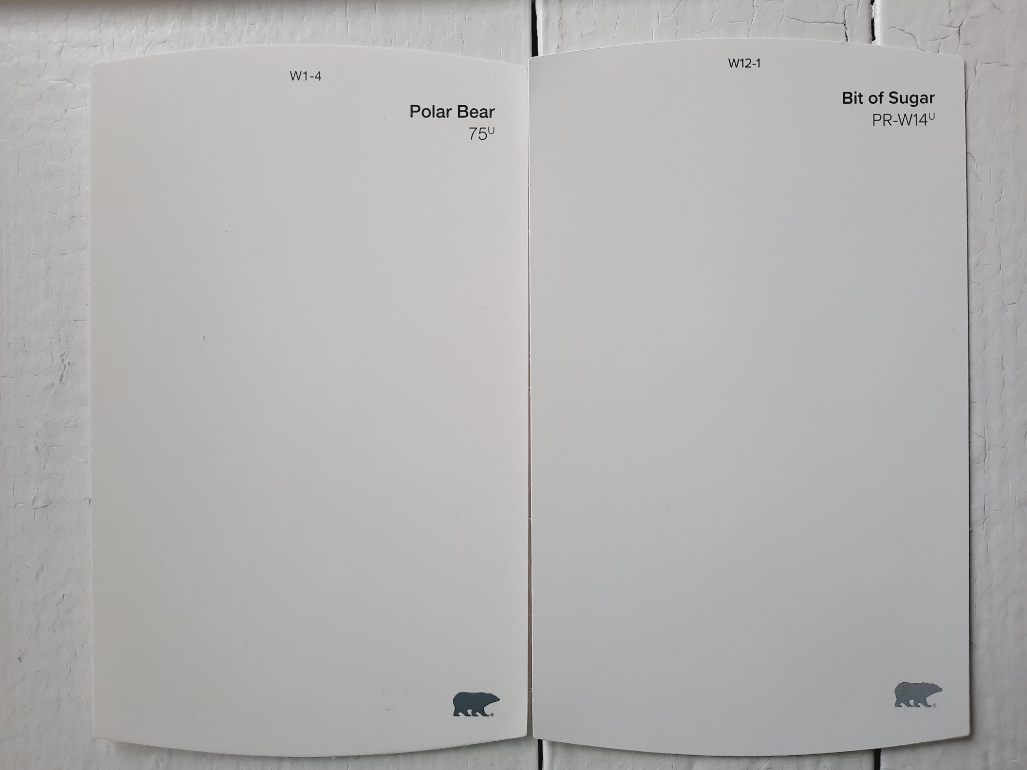 Behr Polar Bear Paint Color Review