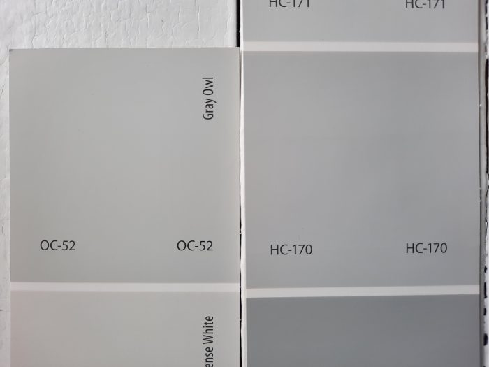 Benjamin Moore Gray Owl Paint Color Review