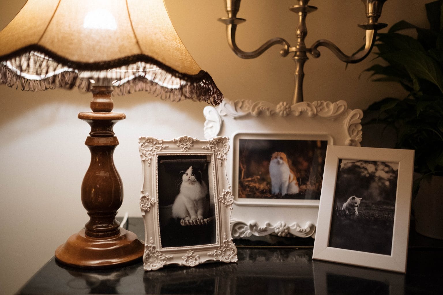 How to Mix and Match Picture Frames