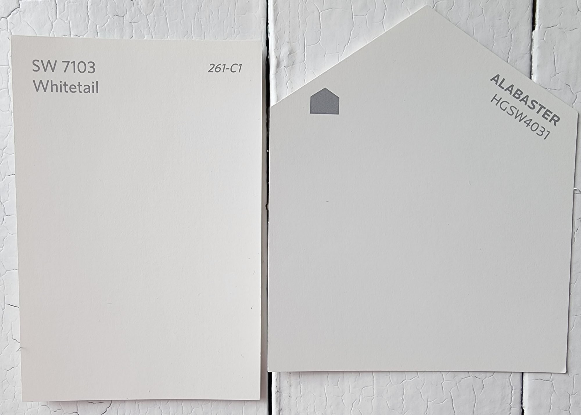 Whitetail by Sherwin Williams Paint Color Review