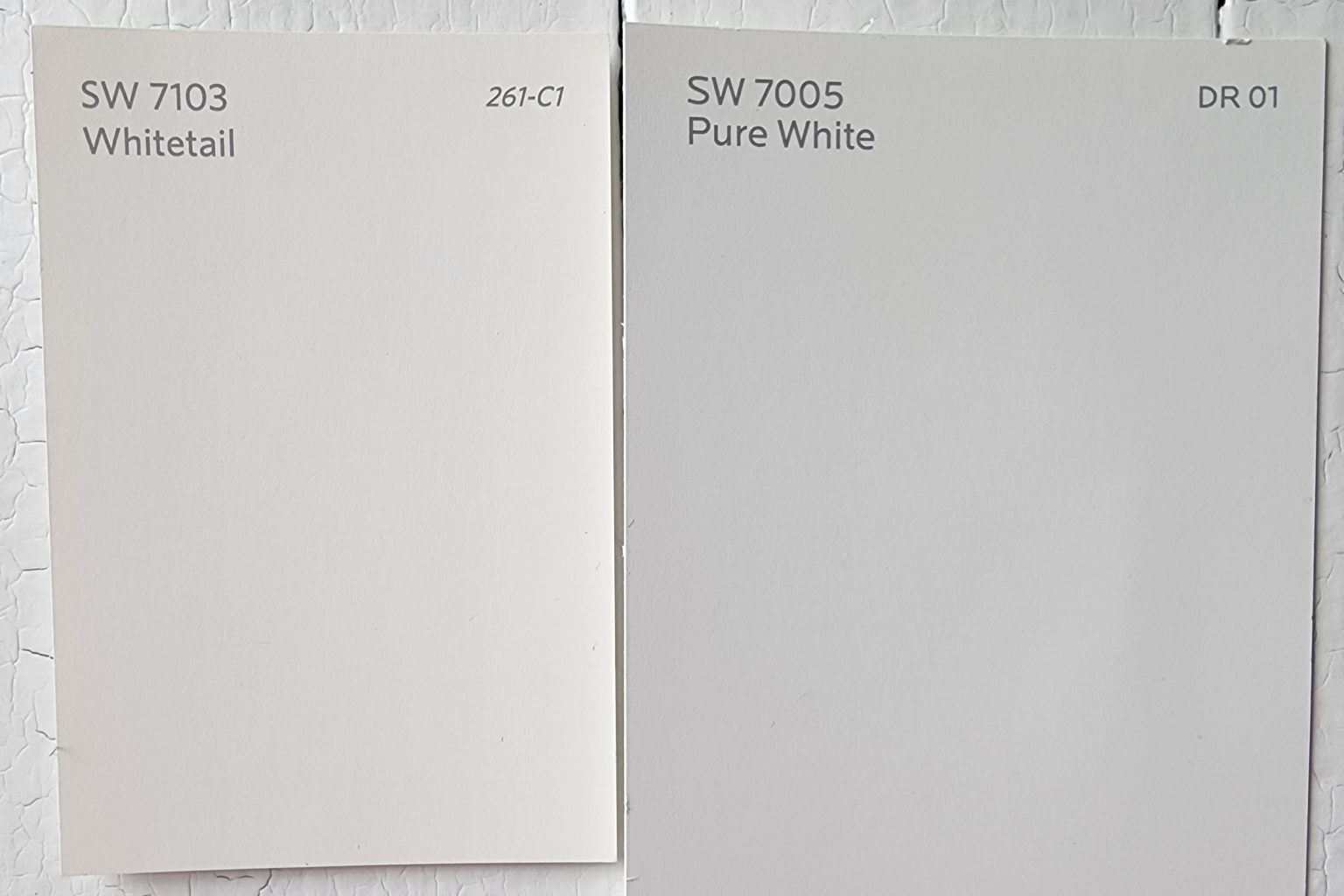 Whitetail by Sherwin Williams Paint Color Review