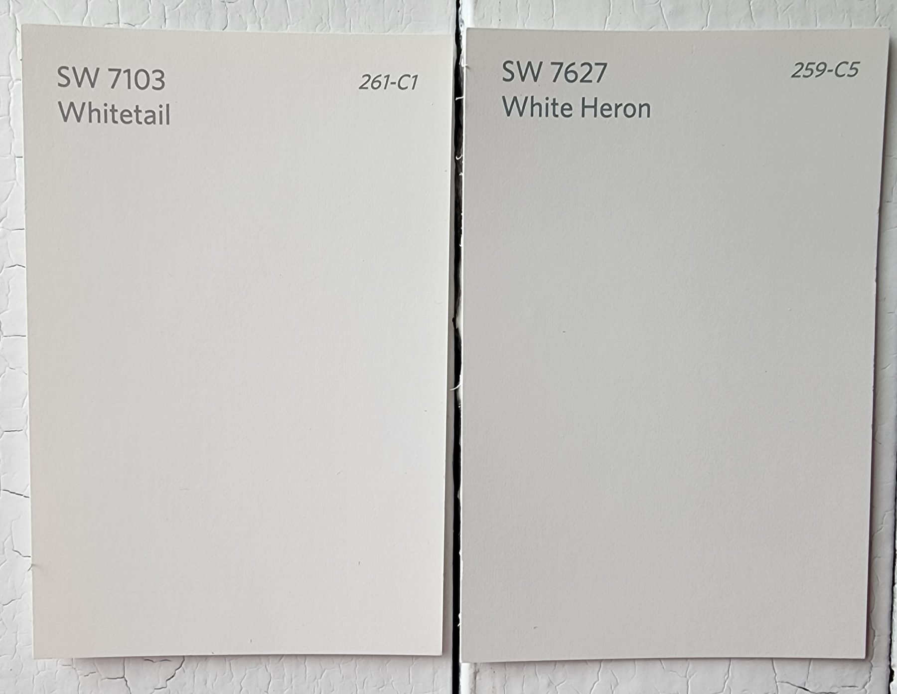 Whitetail by Sherwin Williams Paint Color Review