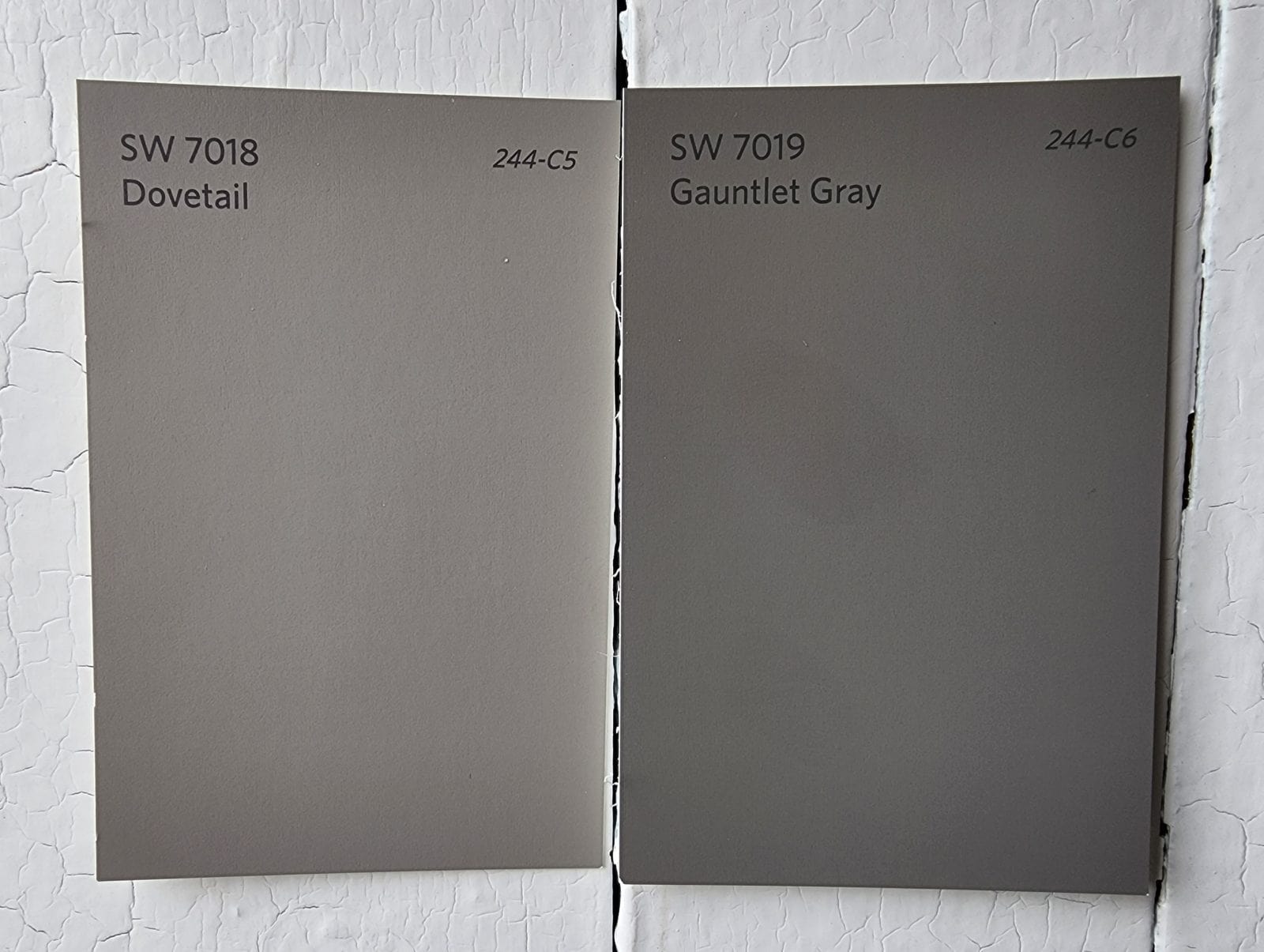 Dovetail by Sherwin Williams Paint Color Review