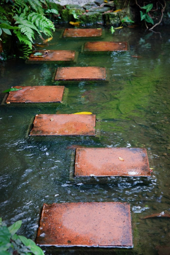 Inexpensive Stepping Stone Walkway Ideas